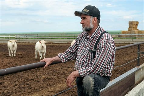 Hutterite Colonies At A Crossroads R Alberta
