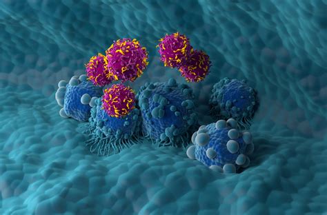 Large B Cell Lymphoma News Articles Whitepapers Drug Target Review