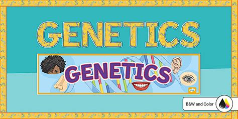 Genetics Bulletin Board Pack Lenseignant A Fait Twinkl