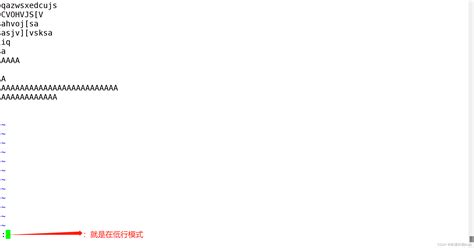 Linux Vim编辑器 Csdn博客