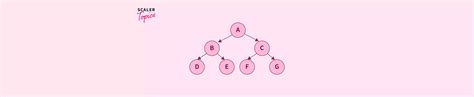 Traversal Of Binary Tree Scaler Topics