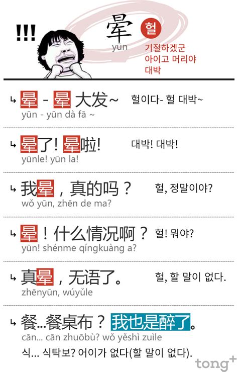 한국어와 같은 중국어 신조어 晕헐 디지틀조선일보디조닷컴