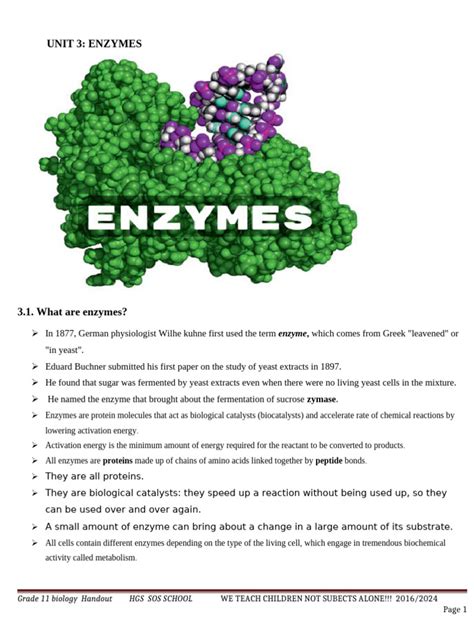 Grade 11 Bio Hand Out Pdf