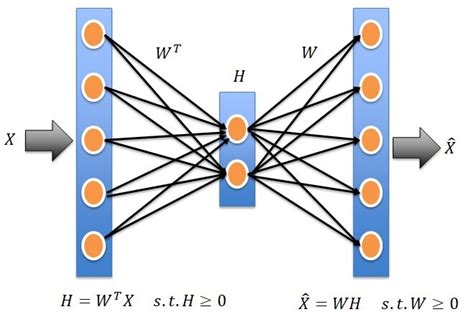 Nmf As One Layer Autoencoder Download Scientific Diagram