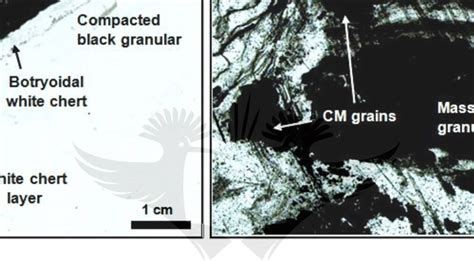 23 A Thin Section Scan Showing Compacted Massive Black Granular