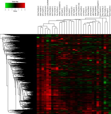 Unsupervised Cluster Analysis Showed Four Distinct Clusters Composed Download Scientific