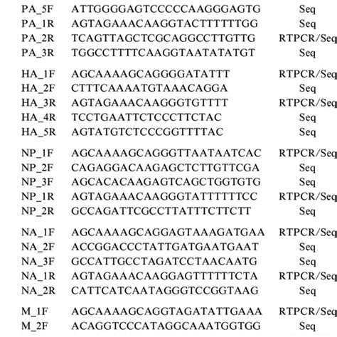 Primers Used In Genes Sequence Analysis Download Table
