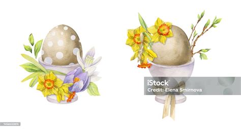 수채화 손으로 그린 부활절 축하 클립 아트 나뭇잎 꽃 파스텔 색상이 있는 도자기 컵에 계란을 칠했다 흰색 배경에 격리 초대장 선물 인사말 카드 인쇄 섬유 갈란투스에 대한