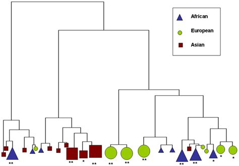 a hierarchical clustering tree showing the clusters colored by a