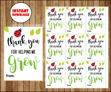 Thank You For Helping Me Grow Leaf Plants Nature Pun School Etsy