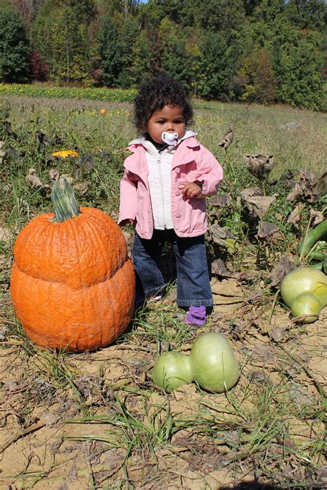 8086832996d1a64b2056o Susan Williams Flickr