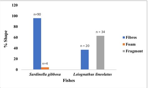 Composition Of Microplastics Shapes N Total Number Of Observed