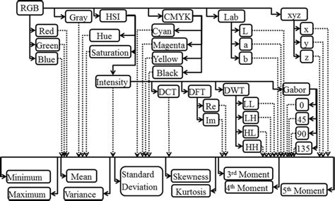 Flowchart Of Feature Extractions Download Scientific Diagram