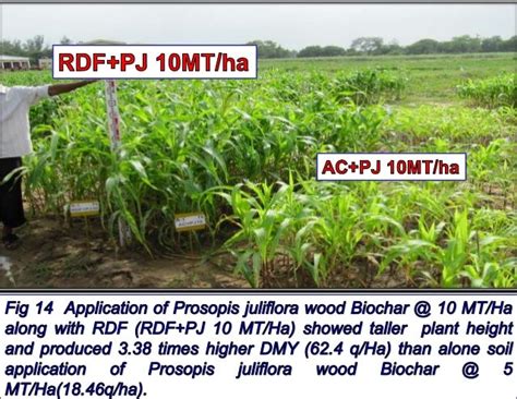 Biochar Preparation And Effect Of Biochars On Corn Growth Yield N