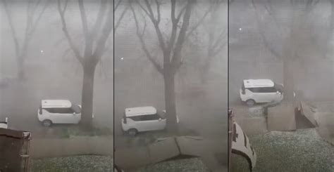 Tree Casually Uproots Sidewalk Lays On Car S Hood During Storm Borninspace