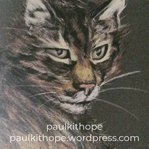 Tabby By Paulkithope On Deviantart