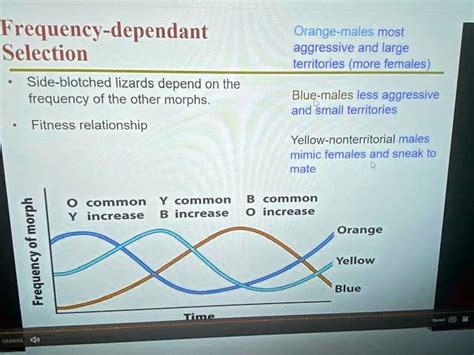 Solved Explain In 150 300 Words Provide A Clear Explanation Of Game Theory Based On The