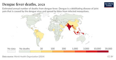Dengue Map