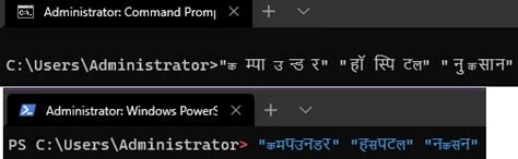 Support Hindi Glyphs In The Terminal · Issue 7846 · Microsoftterminal