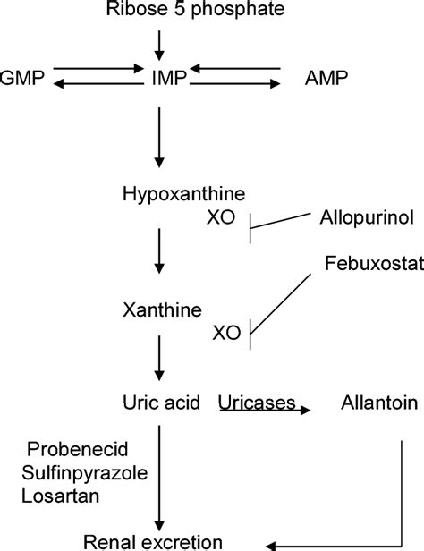Figure 1 From The Burden Of Subclinical Synovitis In Gout Semantic