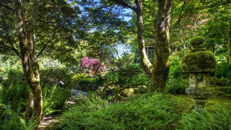 Download wallpaper 1366x768 garden, green, fern, trees, moss tablet ...