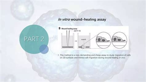 brief introduction cell migration assay pptx