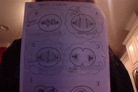 Science Diagram Quizlet