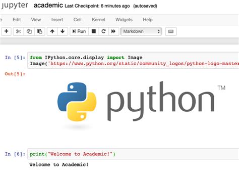 Display Jupyter Notebooks With Academic Fiona