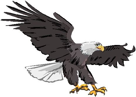 Aguila Clipart 20 Free Cliparts Download Images On Clipground 2026