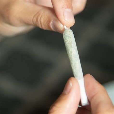 Toking My Grasshopper Toking My Grasshopper