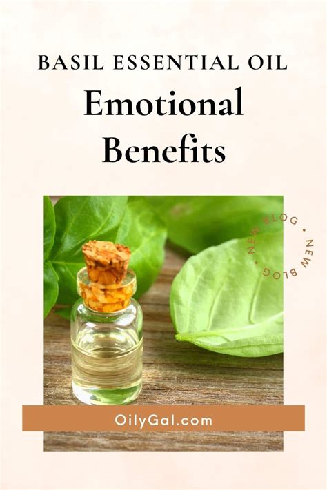 Basil Essential Oil Emotional Benefits Oily Gal