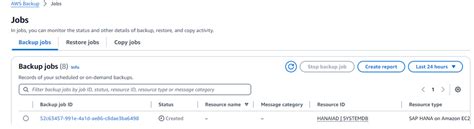 perform cross region cross account backup and restore of sap hana