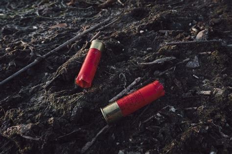 Shotgun Shells Explained What All Those Numbers On The Box Mean 2023