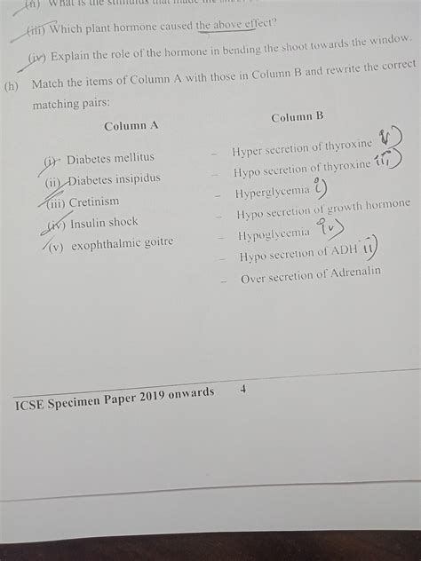 match the items of column a with those in column b and rewrite the