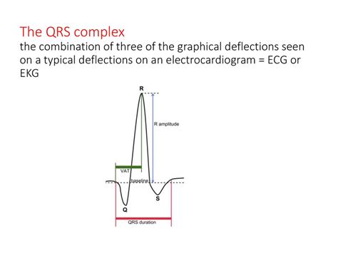 Electrical Processes Of The Heart Online Presentation