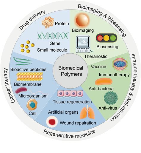 Biomedical Polymers Synthesis Properties And Applications Groupe Français Detudes Et D