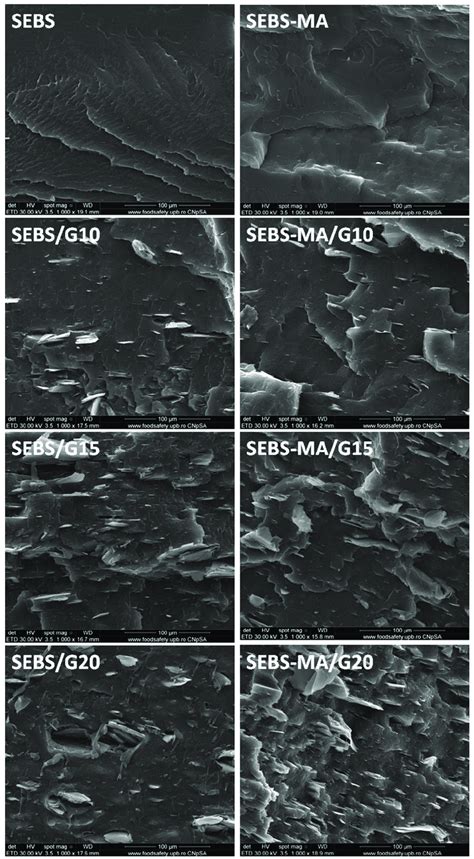 SEM images (×1000) of SEBS, SEBS-MA, and their composites. SEM images ...