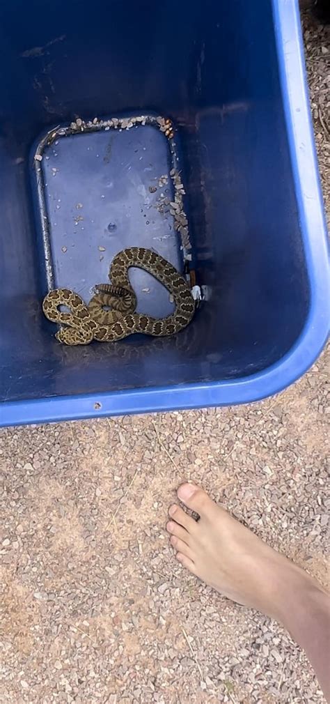 Watch Your Step Out There Yall Rlyons