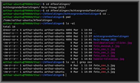 Workshop Introduction To Bash Techzle