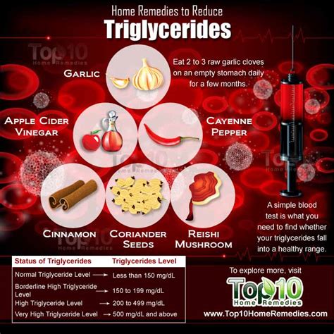 Home Remedies To Reduce Triglycerides Top 10 Home Remedies