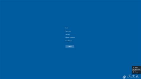 Microsoft Windows 11 10 0 21286 1000 The Collection Book