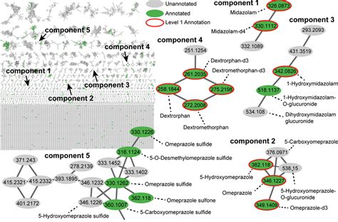 Molecular Networking Via Global Natural Products Social Molecular