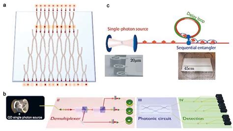 A Schematic Of An Intermediate Quantum Computing Scheme Boson