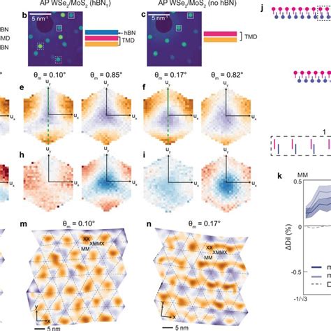 Influence Of Encapsulation Layers On Heterobilayer Reconstruction Ac