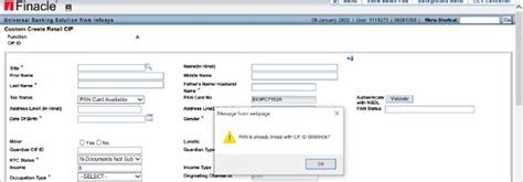 introduction of online pan verification functionality in finacle cbs system