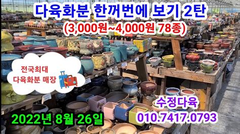 화분 판매 8월 26일 다육화분 한꺼번에 보기 2탄3000원~4000원 78종수정다육 01074170793 5