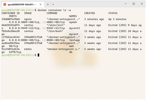 Docker 사용법 4 컨테이너 생성관리 Docker 사용법 4 컨테이너 생성관리