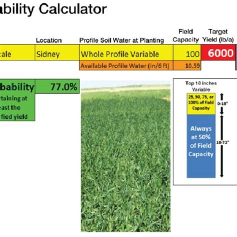 excel spreadsheet decision support tool for summer crop selection