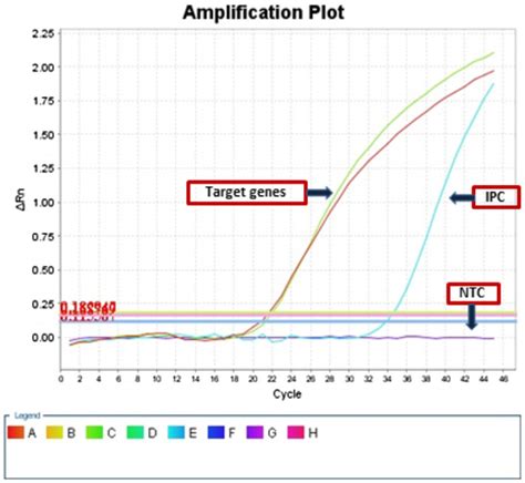 Representative Amplification Plot For Real Time Pcr Using Sybr Green Download Scientific