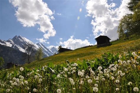 Firebase Build Realtime Apps App Development Webdev Development